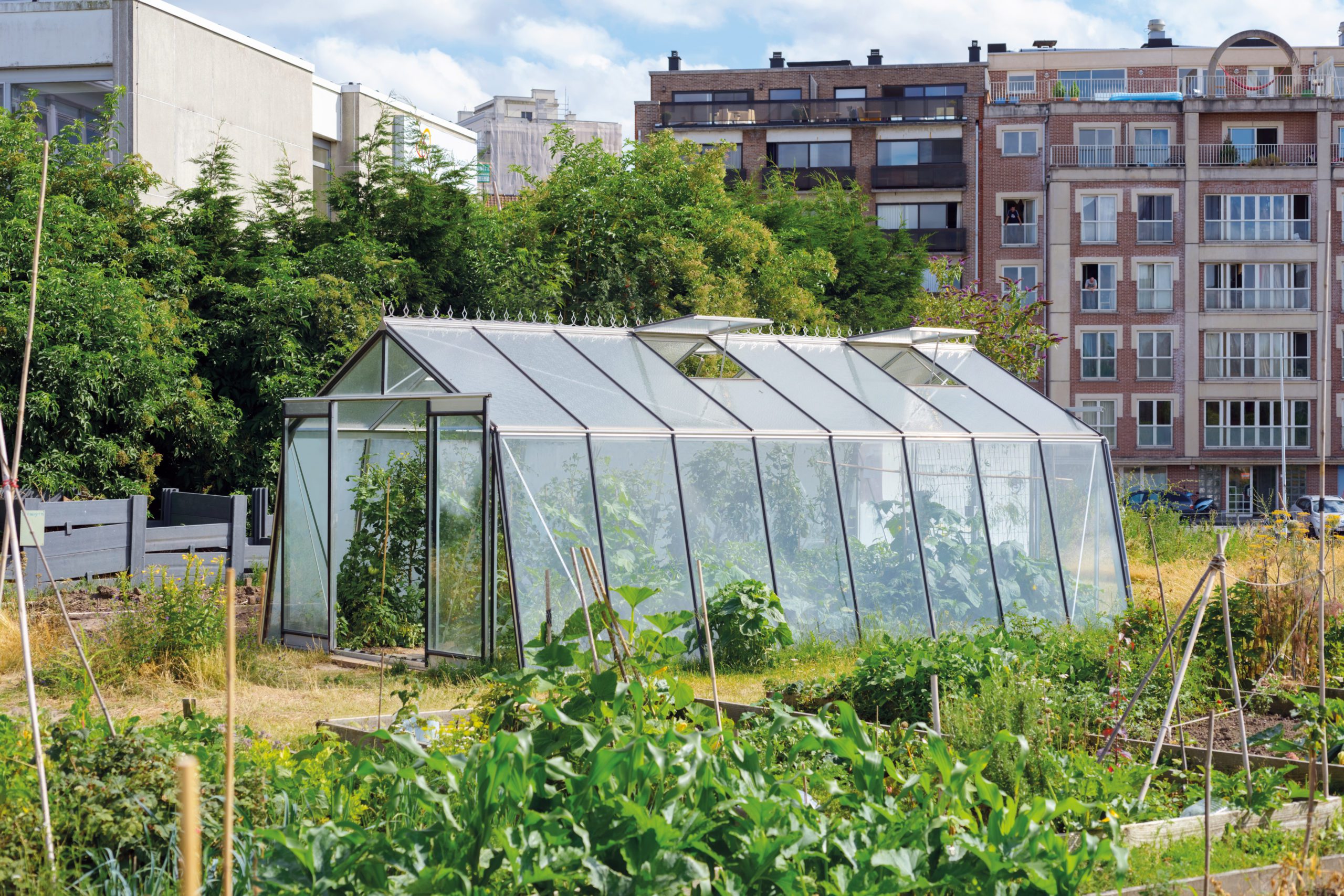 ACD Prestige S208H ACTIEMODEL kopen? Shop hem bij AllGarden